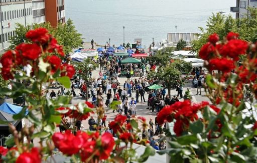 Messina sogna Molde, la "città delle rose": ma via S. Cecilia è una ...