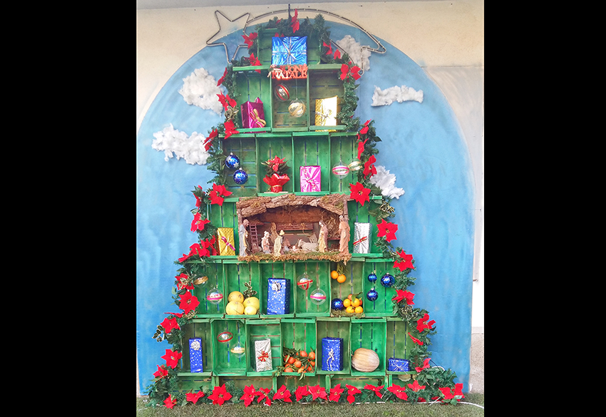 Simboli dell’Europa continentale e mediterranei nell'albero di Alì Terme