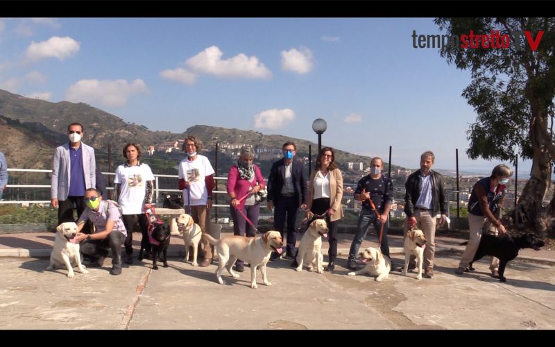 Centro Helen Keller, gioia e lacrime a Messina per la giornata del cane ...