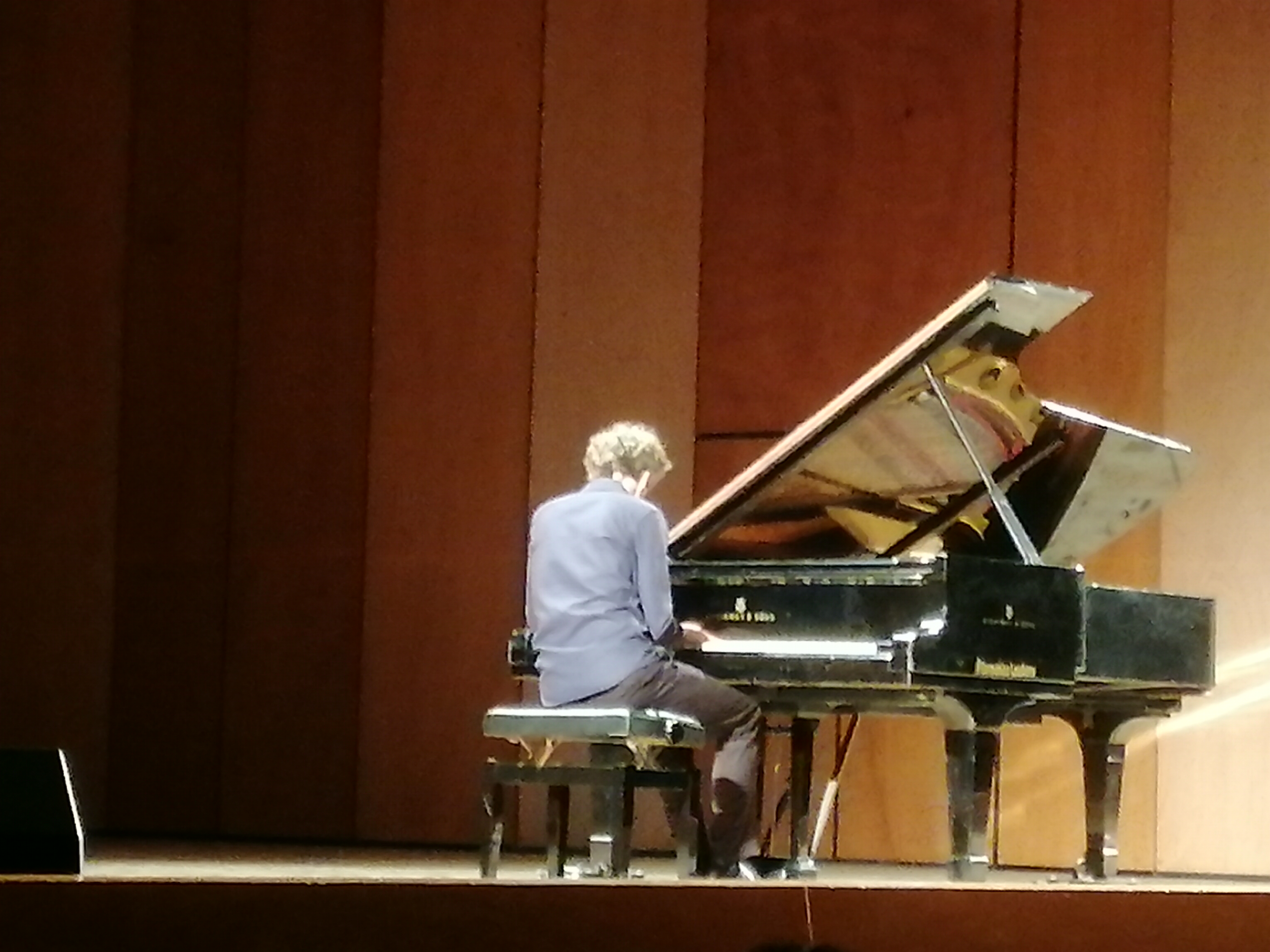 Il pianismo romantico di Zoltan Fejervari entusiasma il pubblico del ...