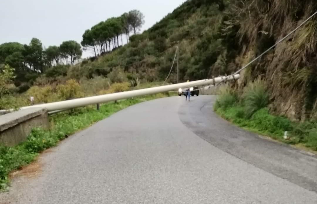 Salice, cade un palo sulla strada provinciale: era stato segnalato da ...