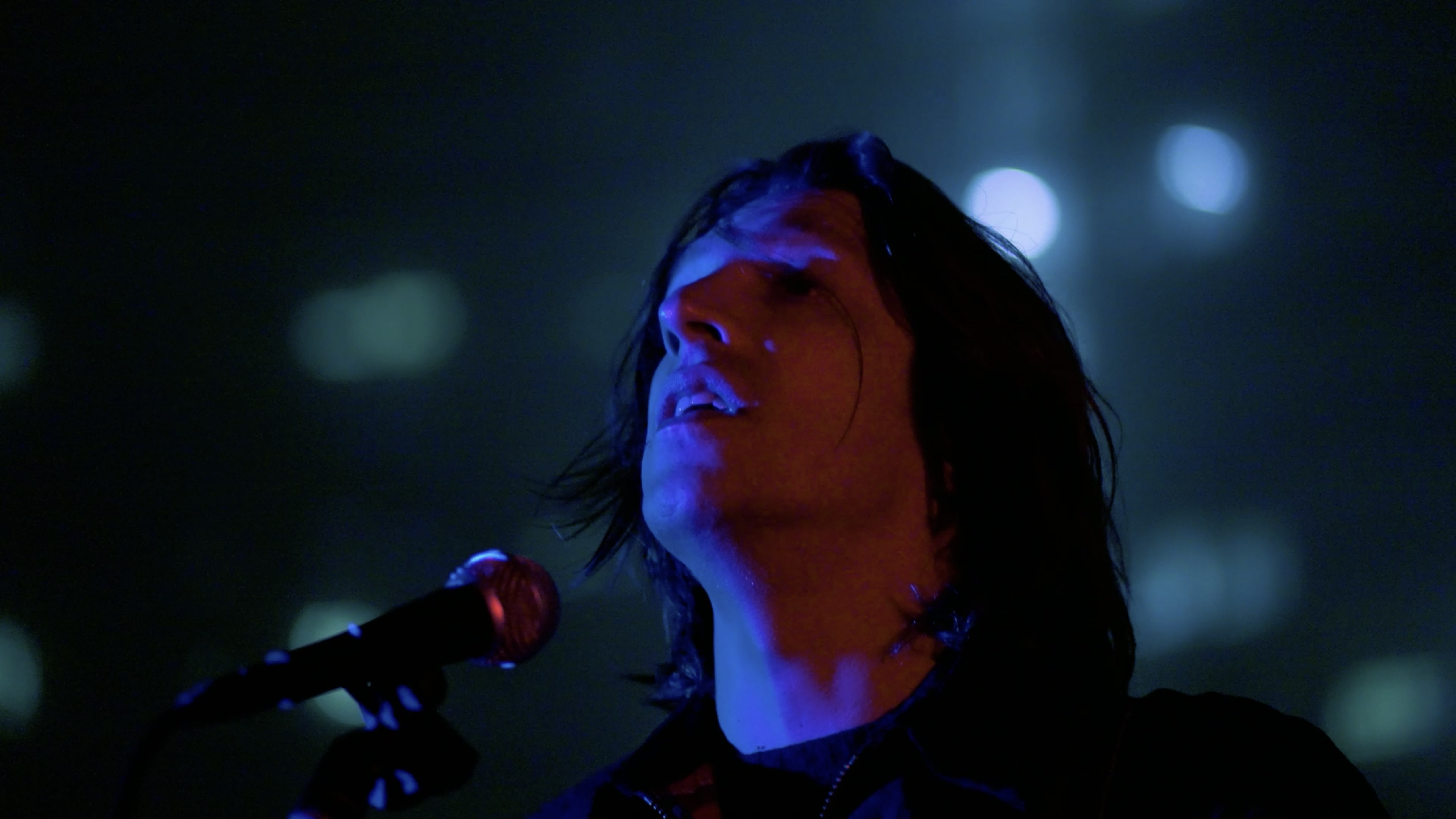 Panama canta Cohen, ecco il video di "Famous Blue Raincoat"