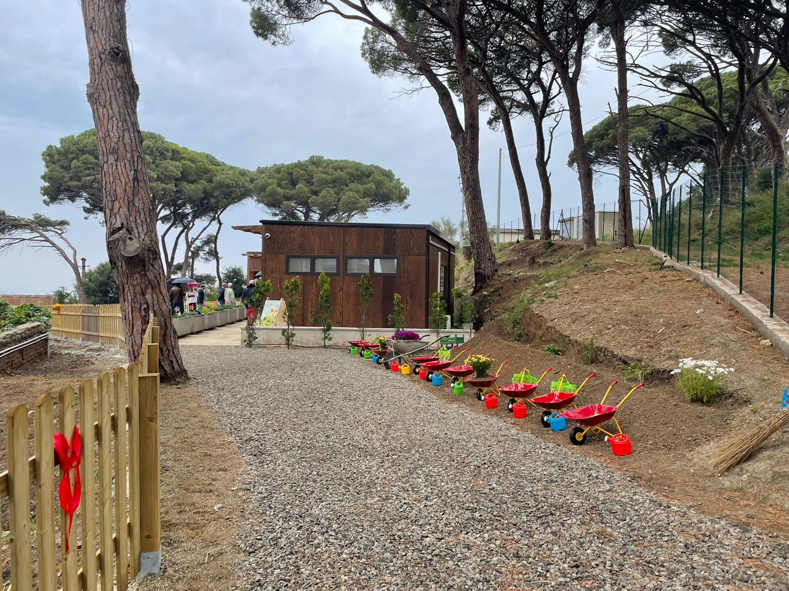 Messina. Ecco la nuova pineta di Montepiselli, tante attività per i ...