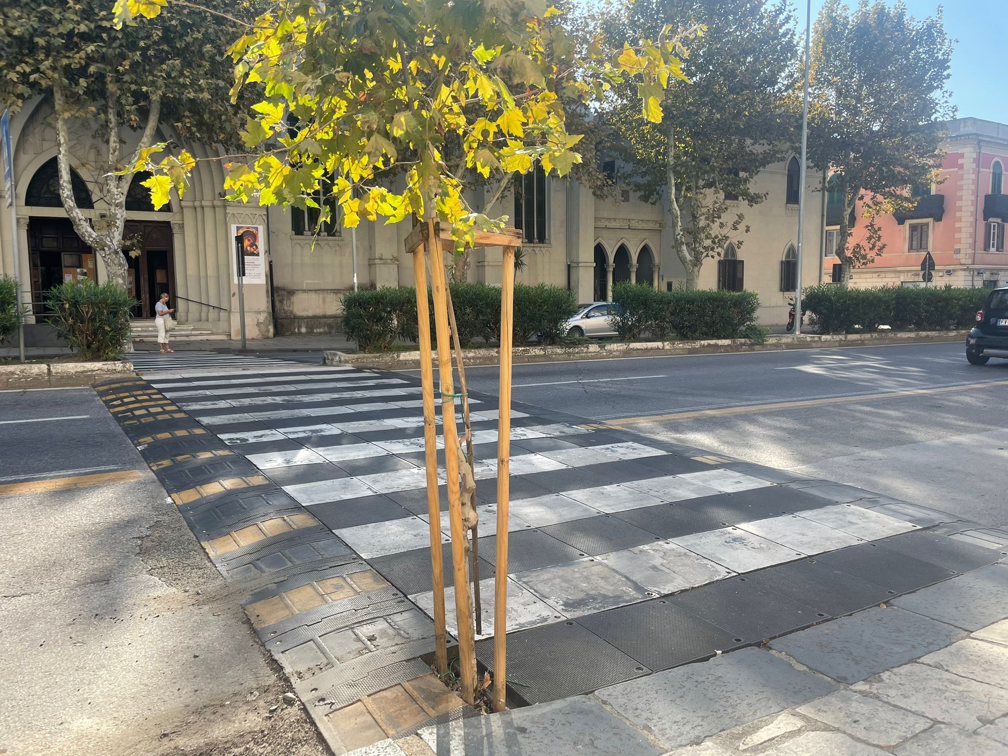 C'è un albero dentro al dosso artificiale: quando la natura batte l'uomo