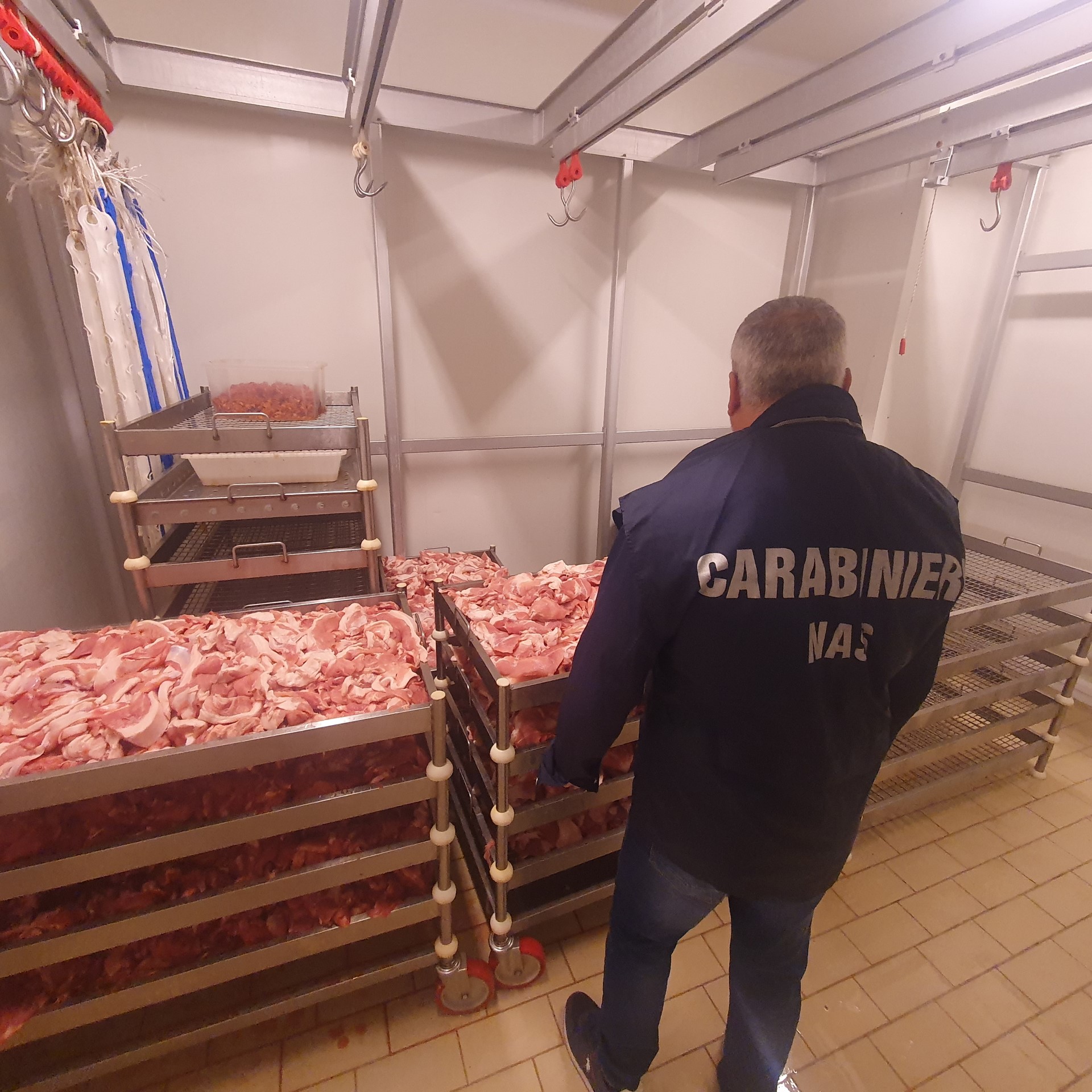 Reggio. Sequestrati dai carabinieri del Nas, 2 tonnellate di salumi e ...