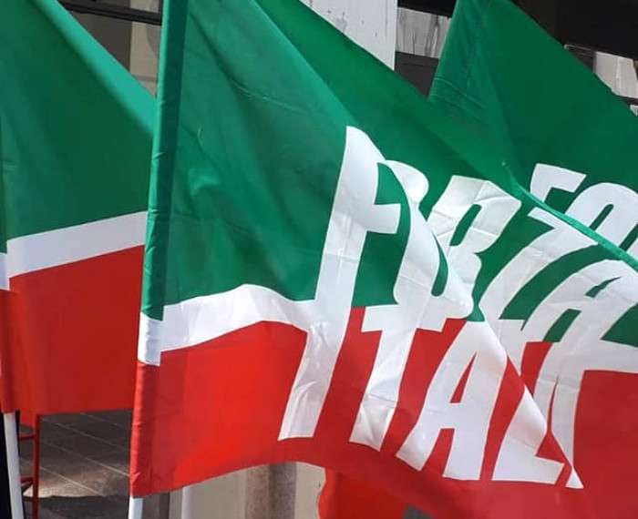 Forza Italia partito "debole" o "forte"? Dall'addio di Oteri al ...