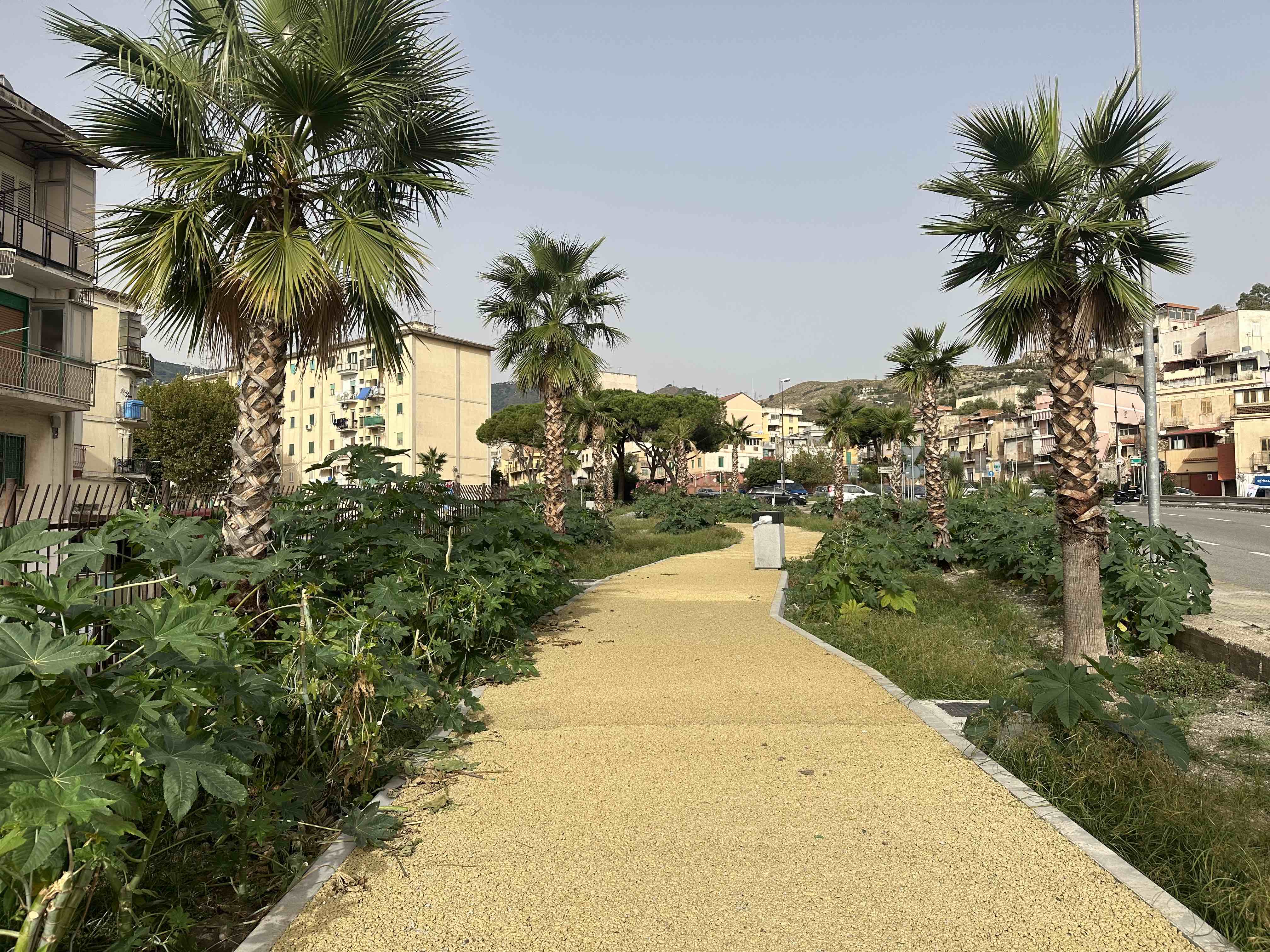 ForestaMe sul viale Gazzi: dopo gli alberi arrivano nuovi cestini e ...