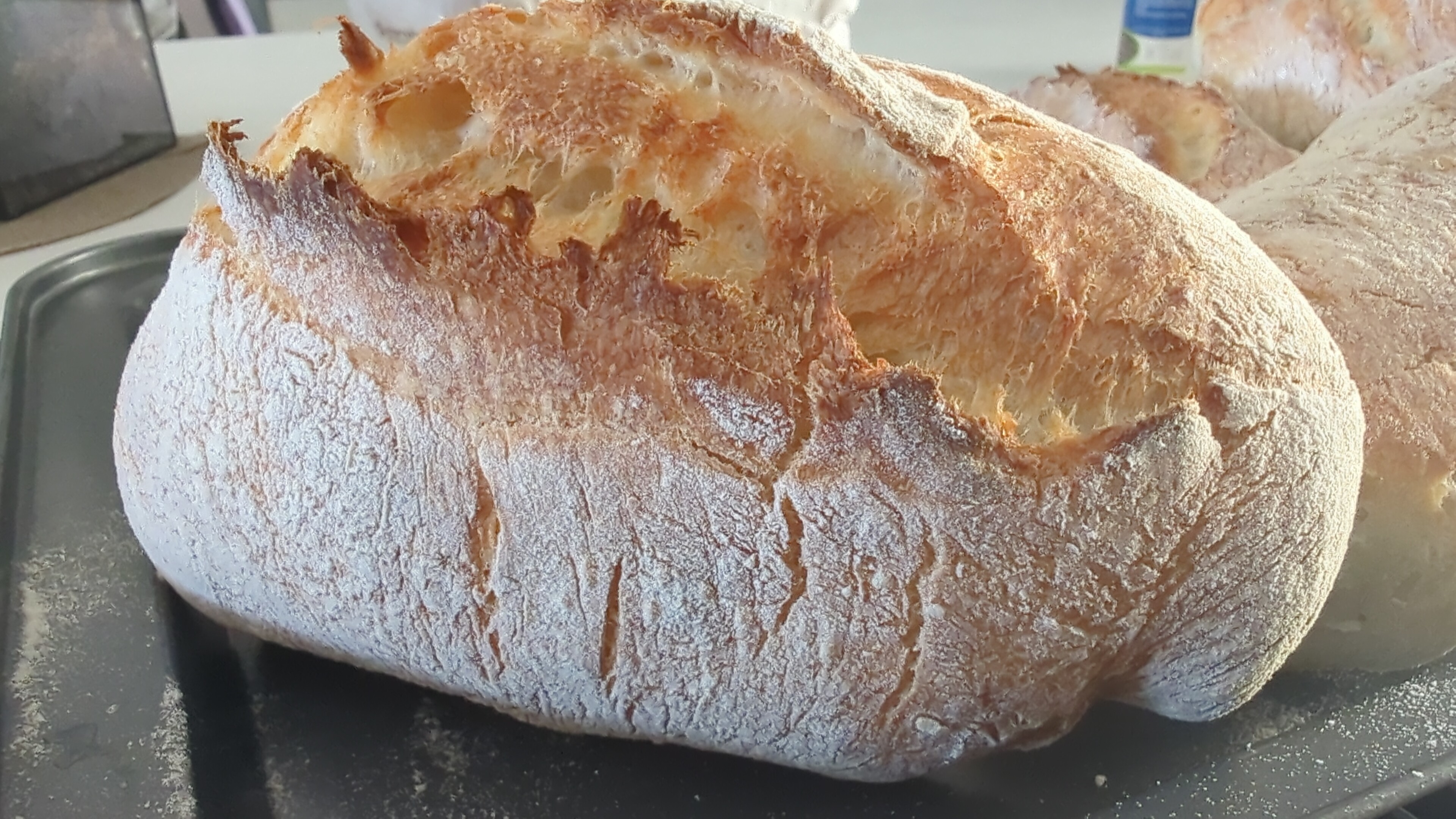 Pane fatto in casa con kefir: ecco due metodi deliziosi