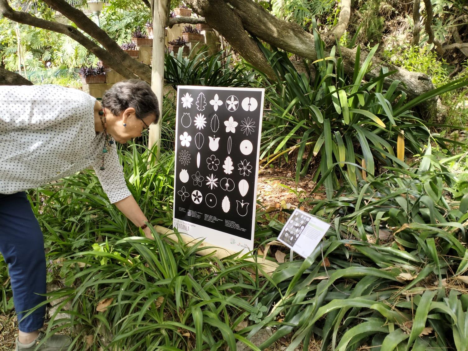 "Spontanea", la mostra all'Orto botanico Pietro Castelli tra visite ...