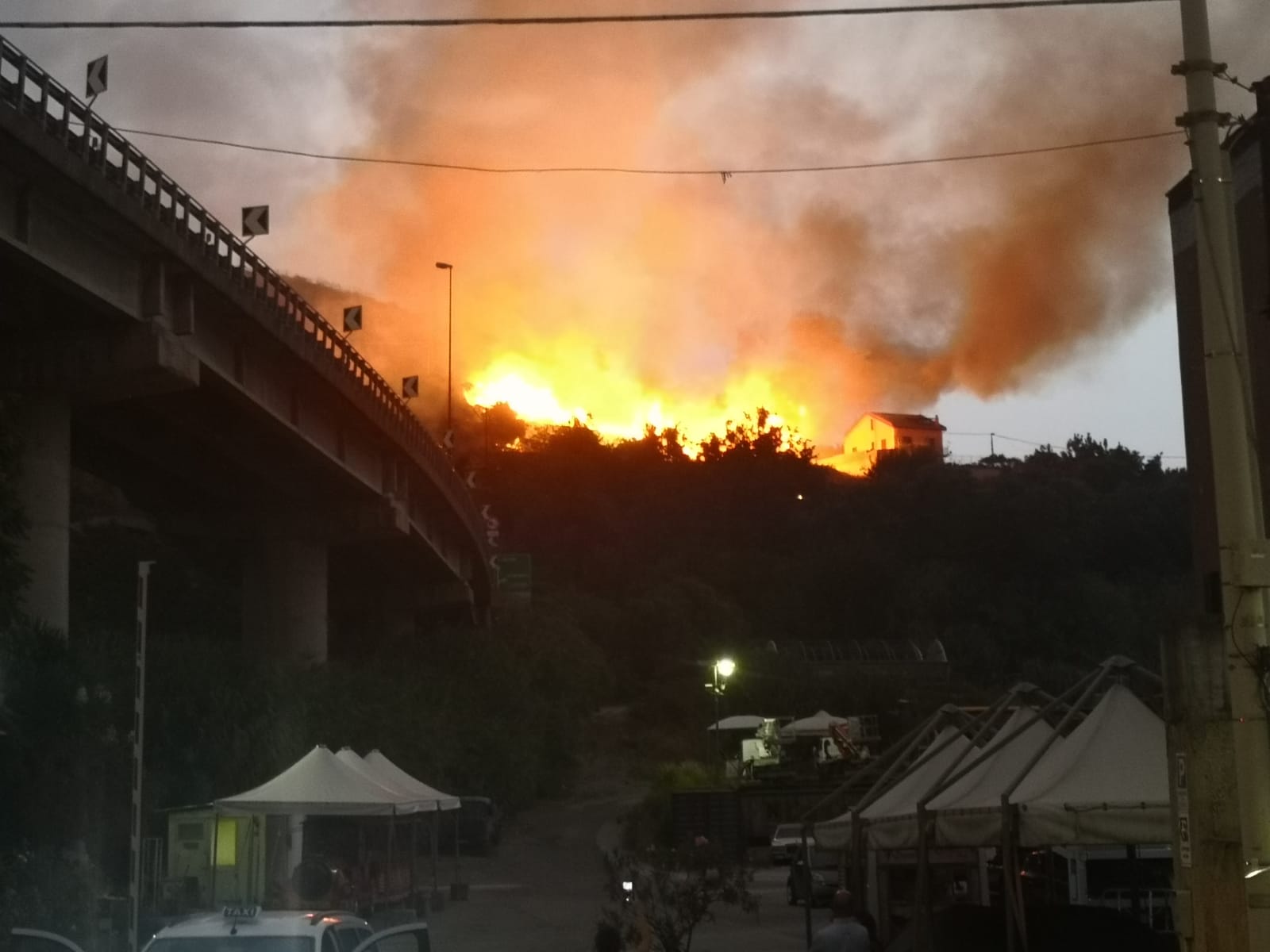 Incendi a Messina, ancora fiamme sulla collina a Camaro e a Bisconte VIDEO
